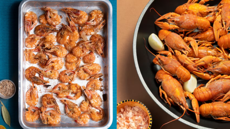 Comidas com a Letra X: Descubra as Mais Consumidas e Seus Incríveis ...